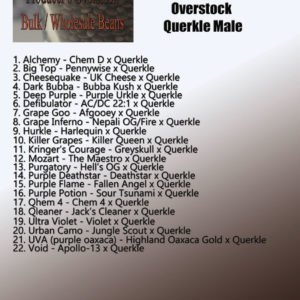 Producers Overstock Archives - Genetic Supply